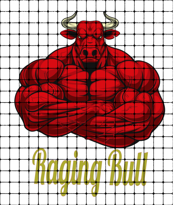 Raging bull vector